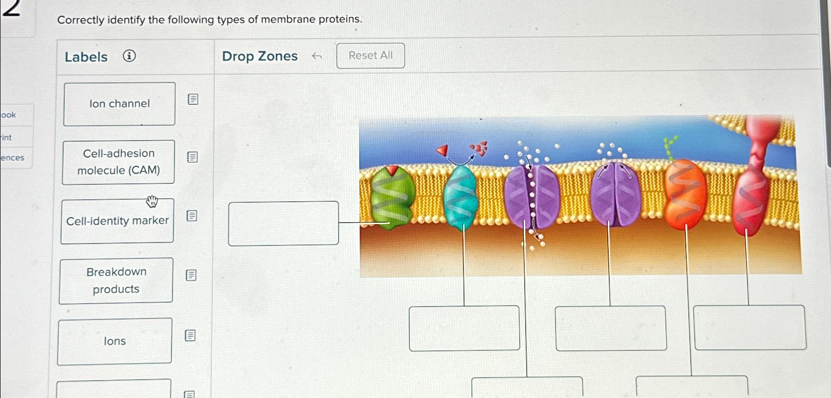 Solved Correctly identify the following types of membrane | Chegg.com