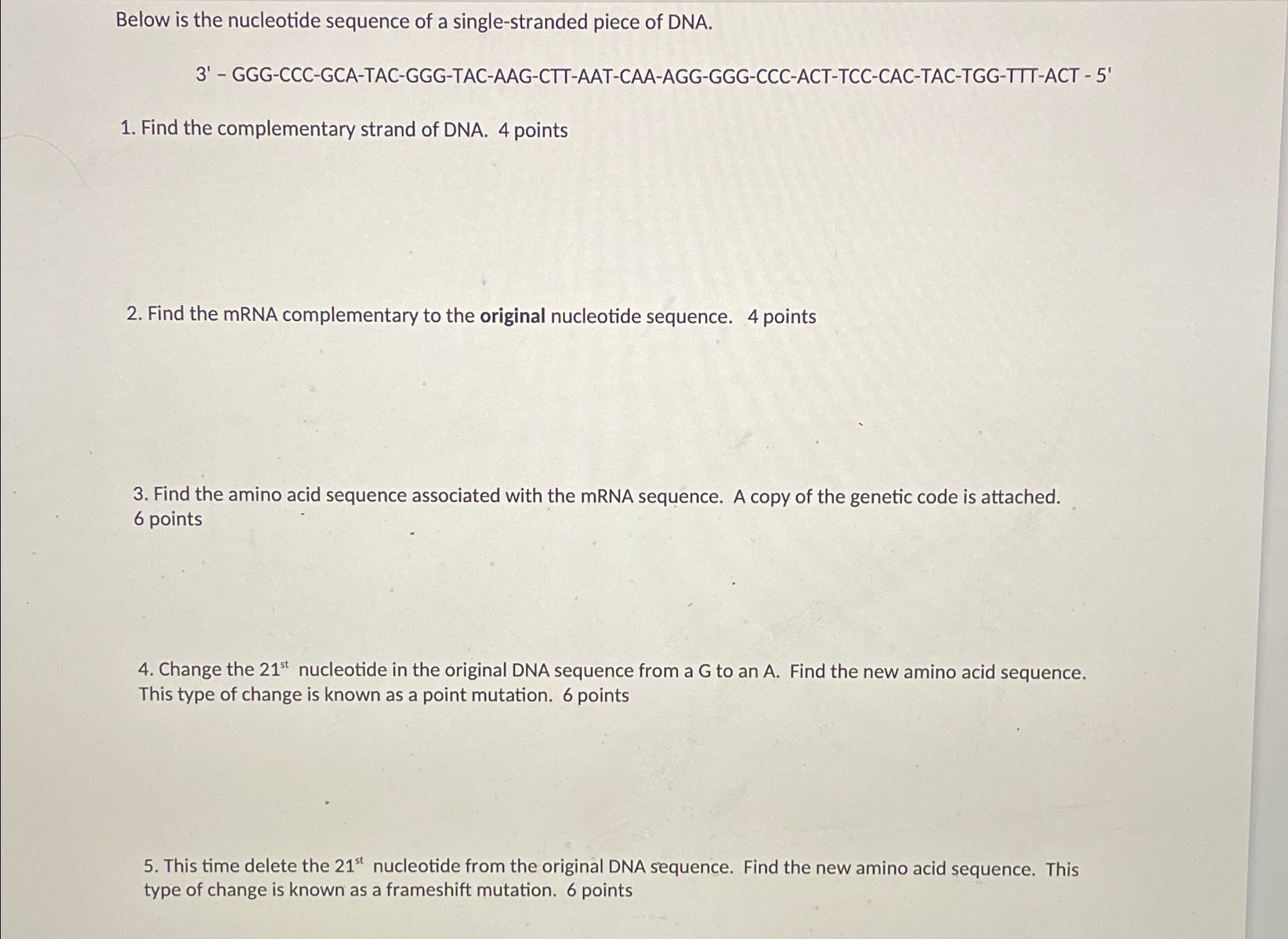 Solved Below is the nucleotide sequence of a single-stranded | Chegg.com