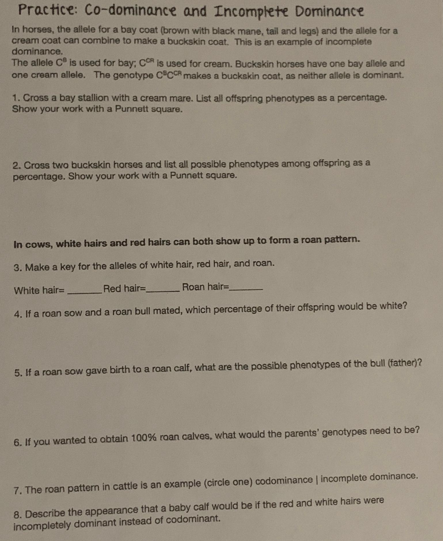 Solved Practice: Co-dominance and Incomplete DominanceIn | Chegg.com