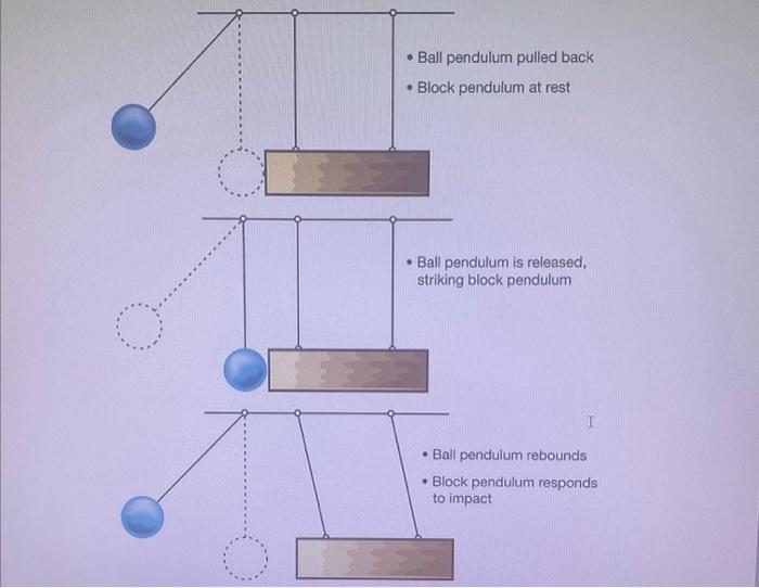 Solved Design an experiment that would let you answer the | Chegg.com
