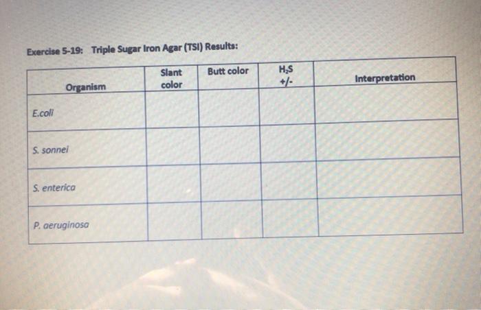 Solved catabolism. Bacteria that produce the enzyme urease | Chegg.com