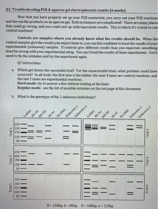 Solved Q1: Calculating a PCR master mix [5 marks) The first | Chegg.com