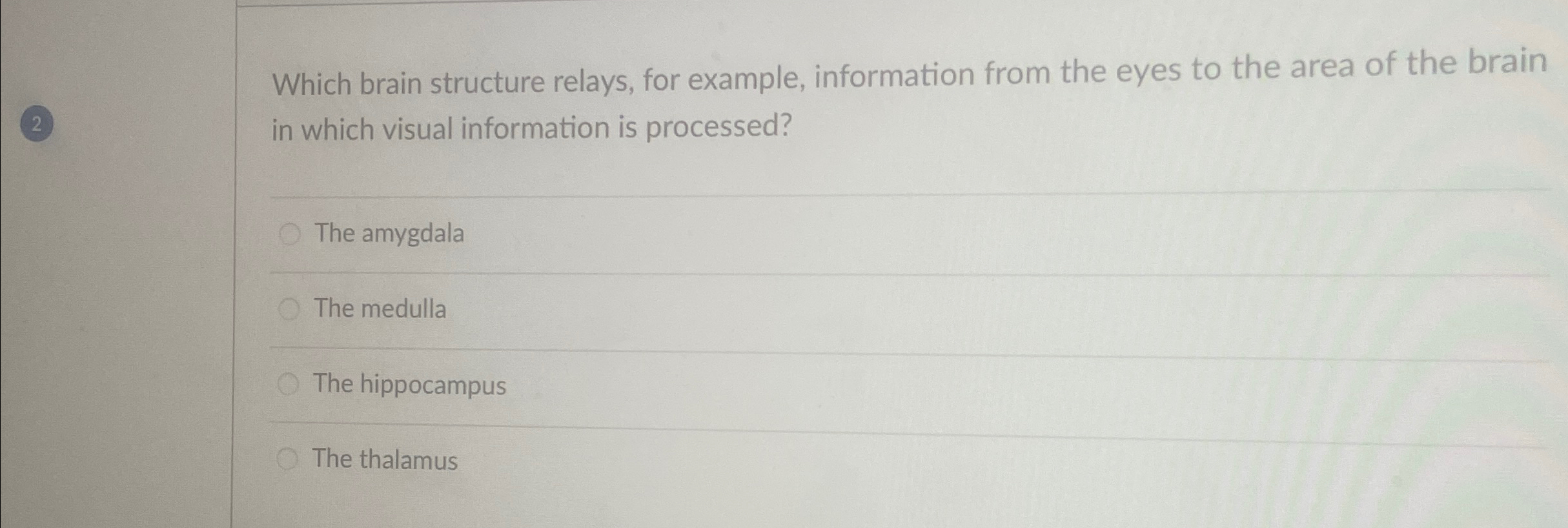 Solved Which brain structure relays, for example, | Chegg.com