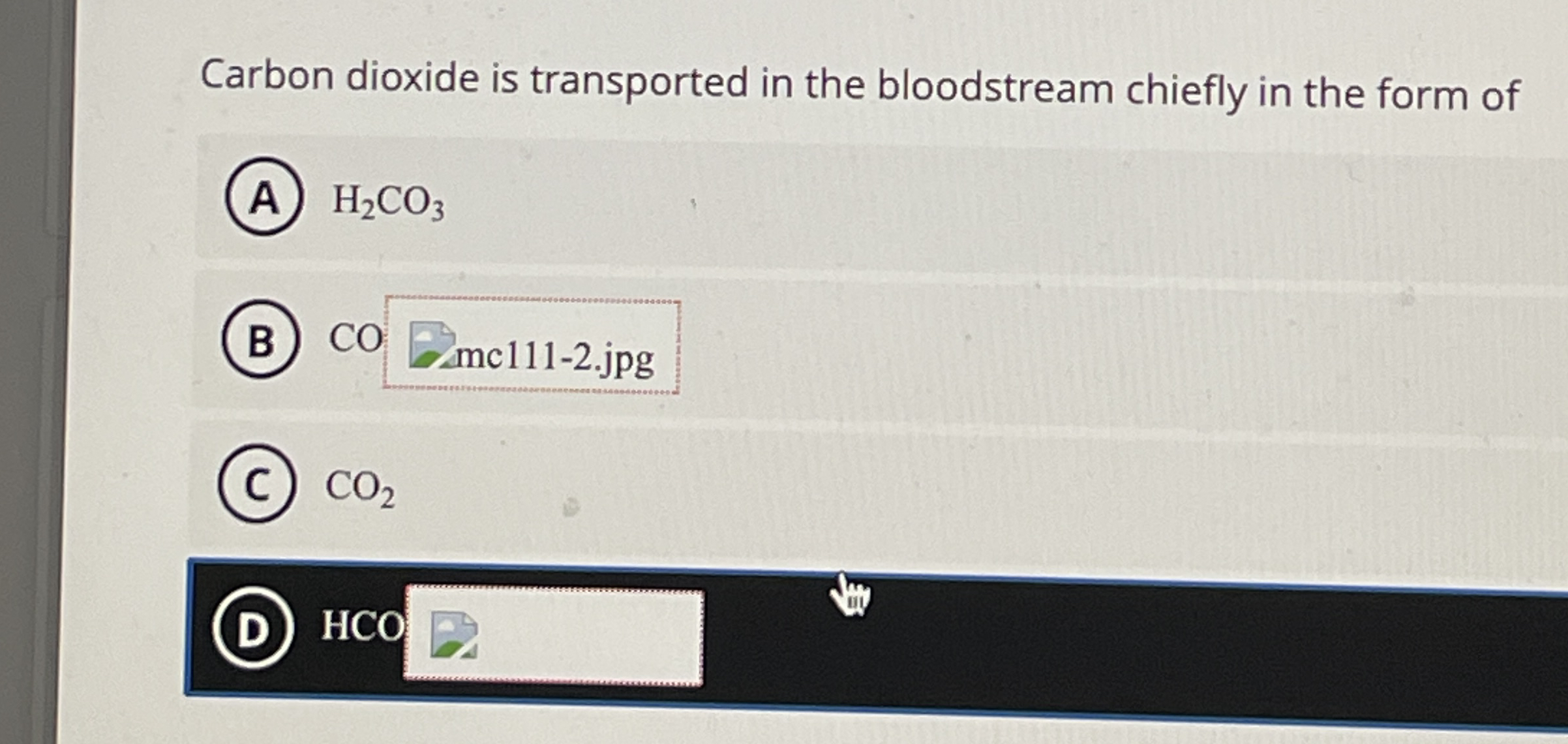 Solved Carbon dioxide is transported in the bloodstream | Chegg.com