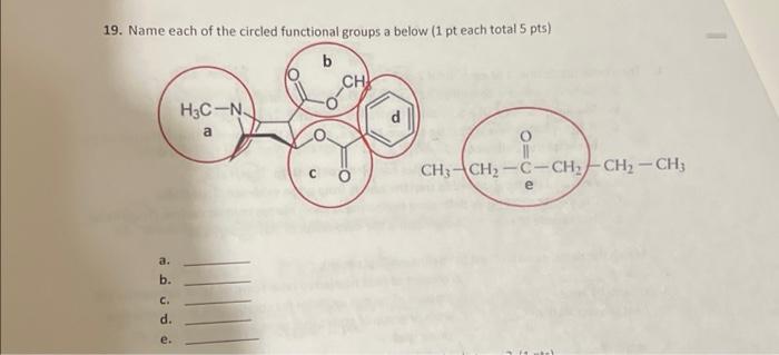 Solved 19. Name each of the circled functional groups a | Chegg.com