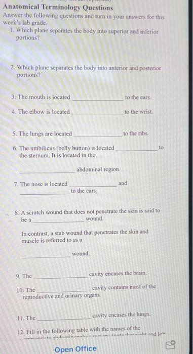 Solved Anatomical Terminology Questions Answer the following | Chegg.com