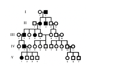 Solved For the pedigree shown here, which mode or ﻿modes of | Chegg.com