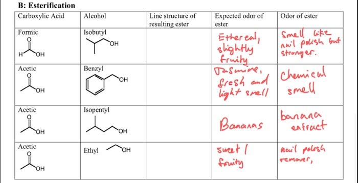 Solved R- Fsterifieation | Chegg.com