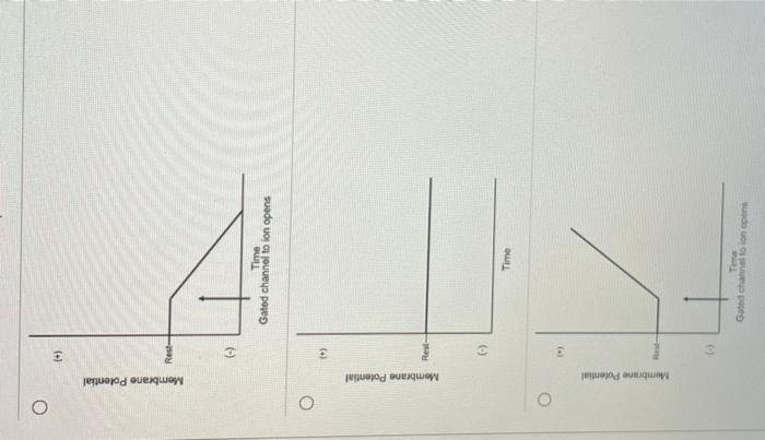 Solved Which of the below graphs best shows the change in | Chegg.com