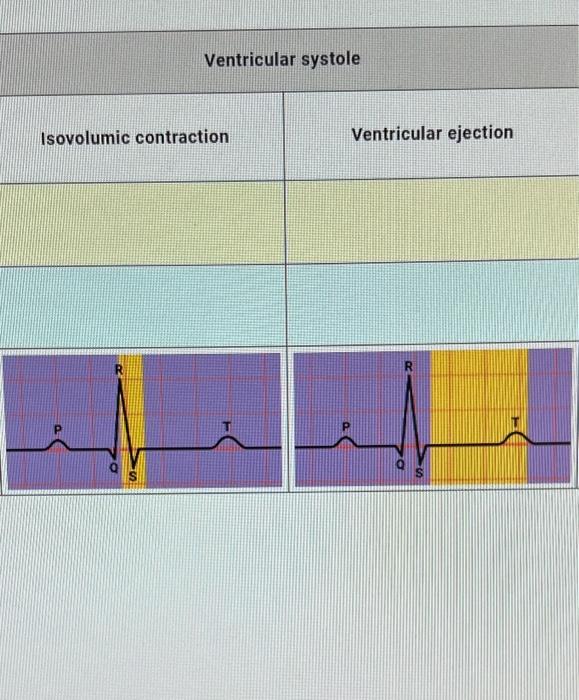 Blood flow labels Valve state labels All valves | Chegg.com