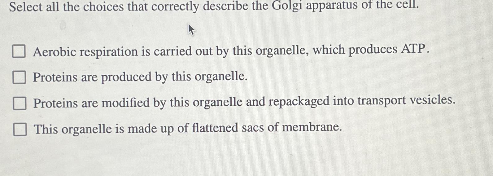 Solved Select all the choices that correctly describe the | Chegg.com