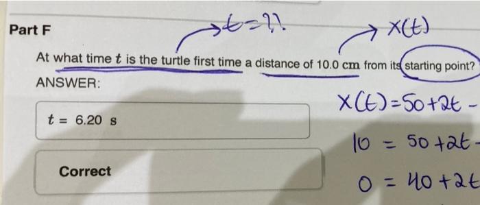 Solved A turtle crawls along a straight line, which we will | Chegg.com