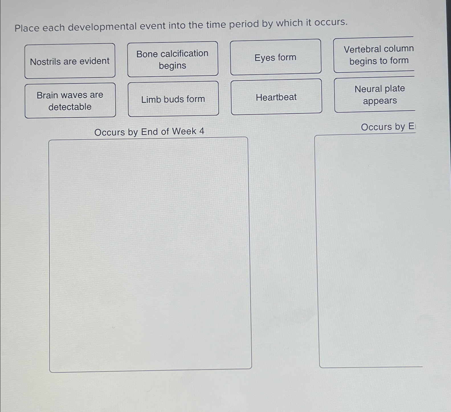 Solved Place each developmental event into the time period | Chegg.com