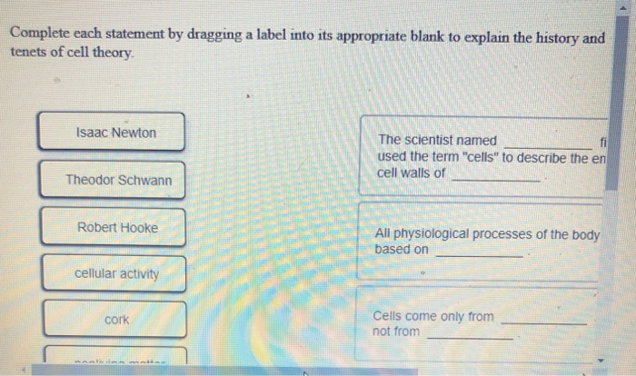 Solved Complete each statement by dragging a label into its | Chegg.com Solved Complete each statement by dragging a label into its | Chegg.com