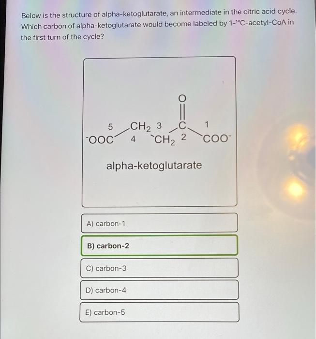 Solved Below is the structure of alpha-ketoglutarate, an | Chegg.com