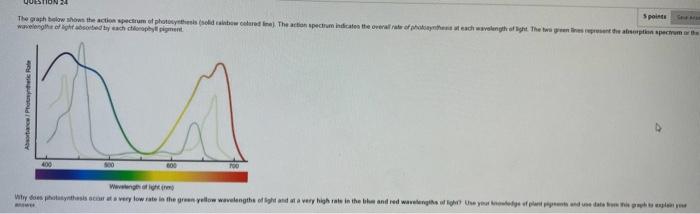 Solved The graph below shows the action spectrum of | Chegg.com