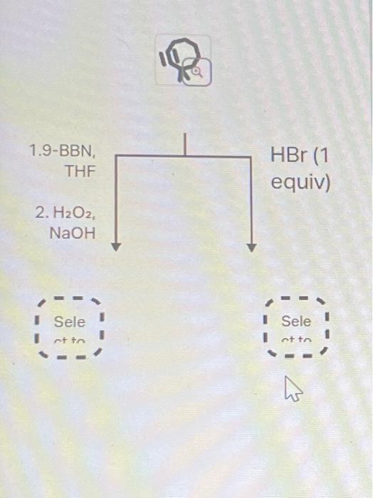 Solved A common alkyne starting material is shown below. | Chegg.com