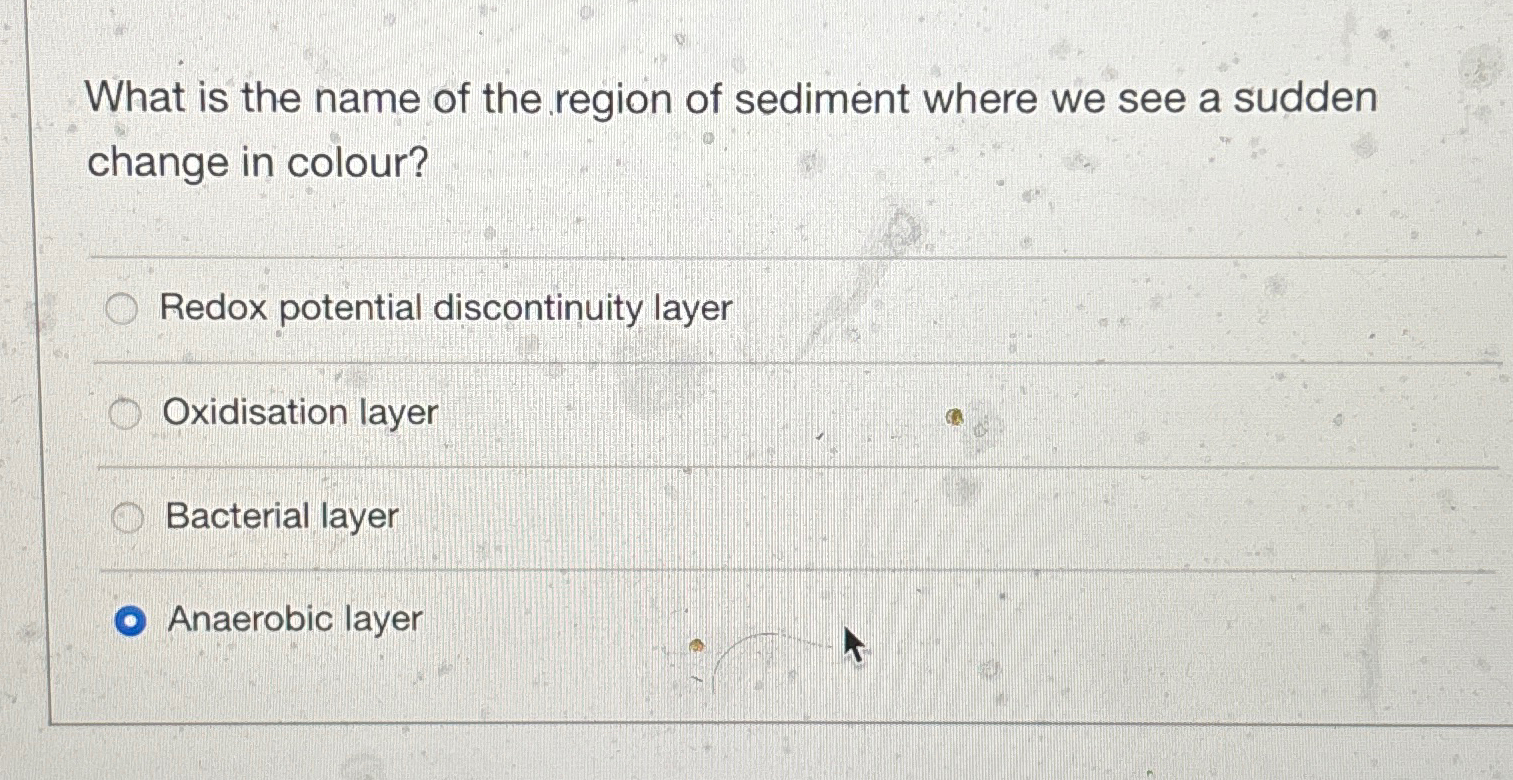 Solved What is the name of the region of sediment where we | Chegg.com