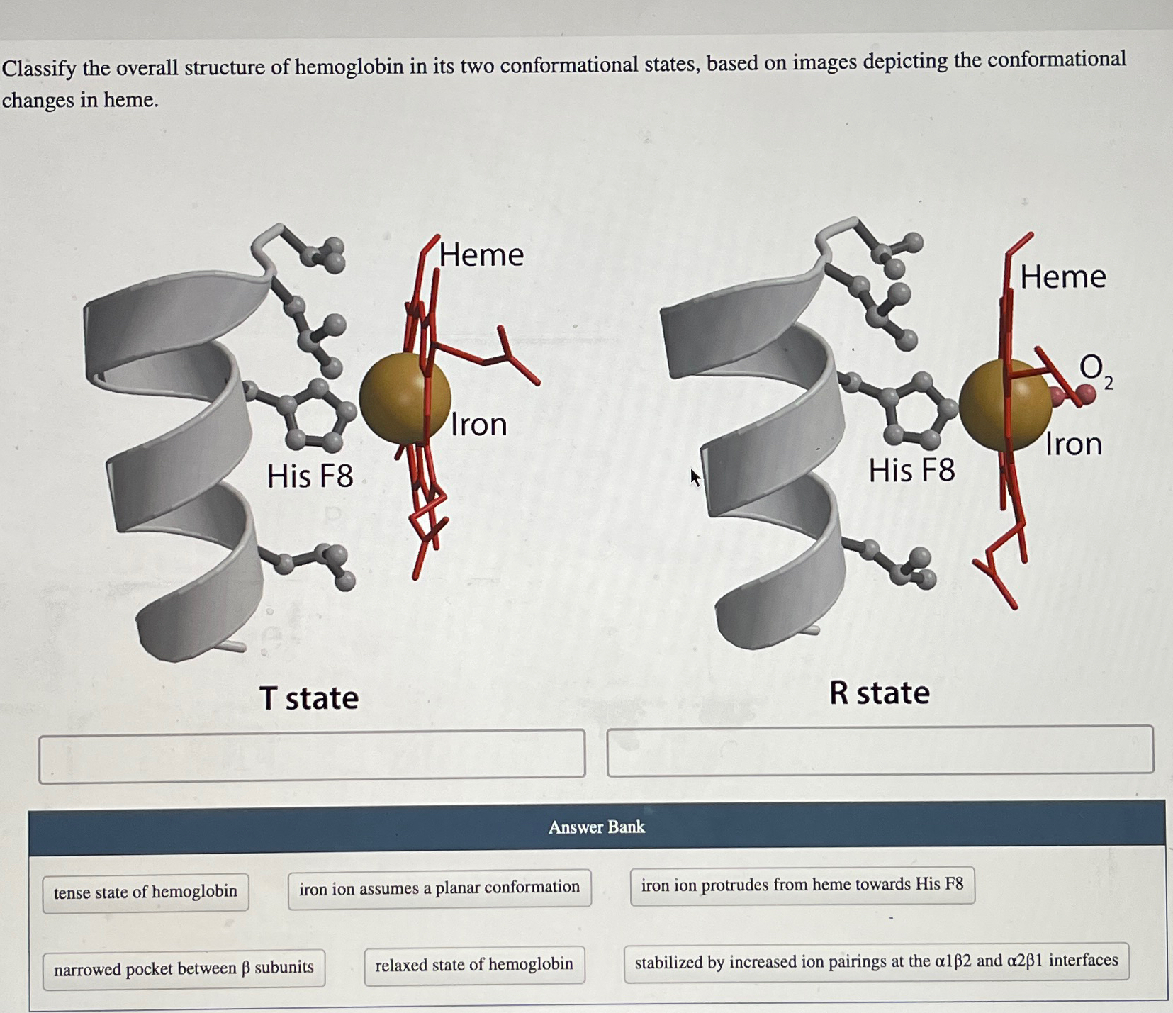Solved Classify the overall structure of hemoglobin in its | Chegg.com