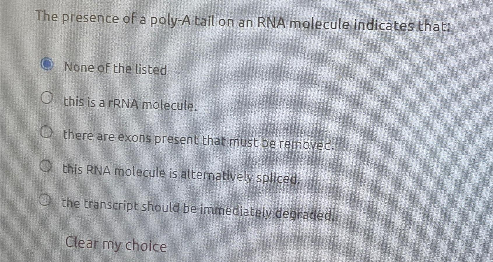 Solved The presence of a poly-A tail on an RNA molecule | Chegg.com