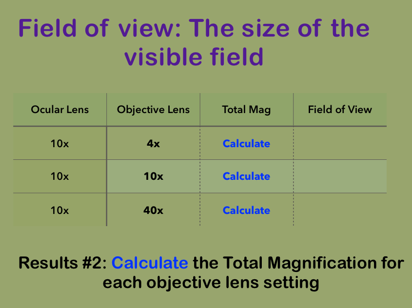 Solved Results #2: Calculate the Total Magnification for | Chegg.com