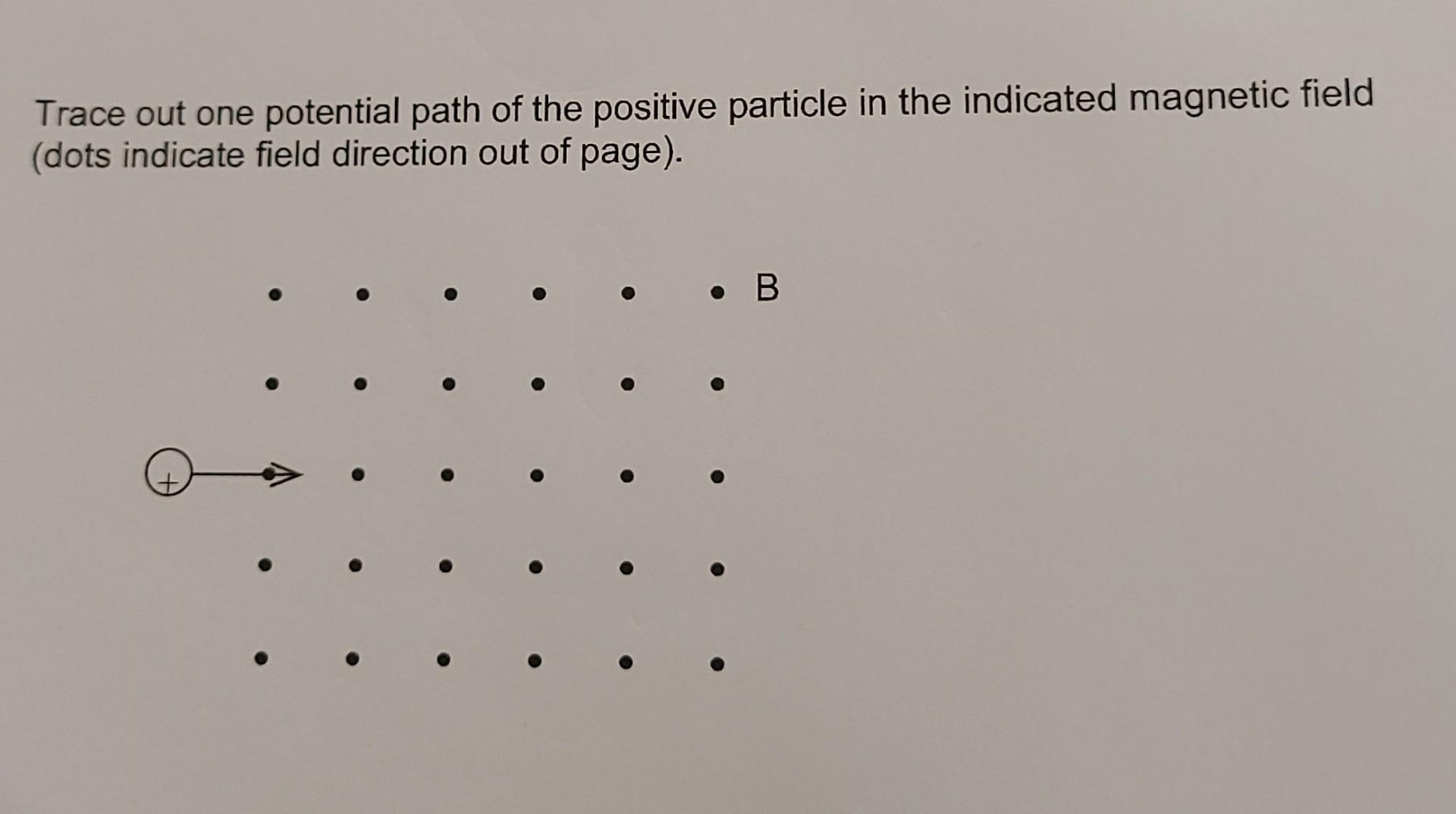Solved Trace out one potential path of the positive particle | Chegg.com