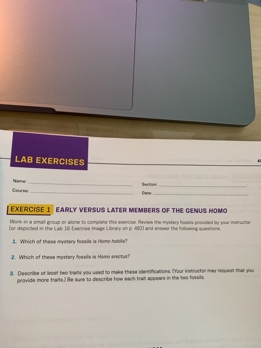 Solved: LAB EXERCISES Name: Course: Section: Date: EXERCIS... | Chegg.com