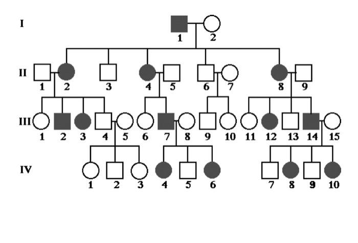 Solved Based off of the pedigree how is the trait inherited, | Chegg.com