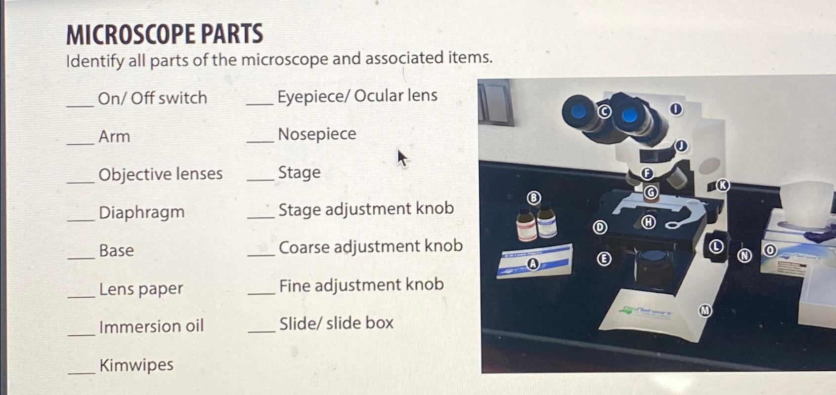 Solved Microscope Partsidentify All Parts Of The Microscope
