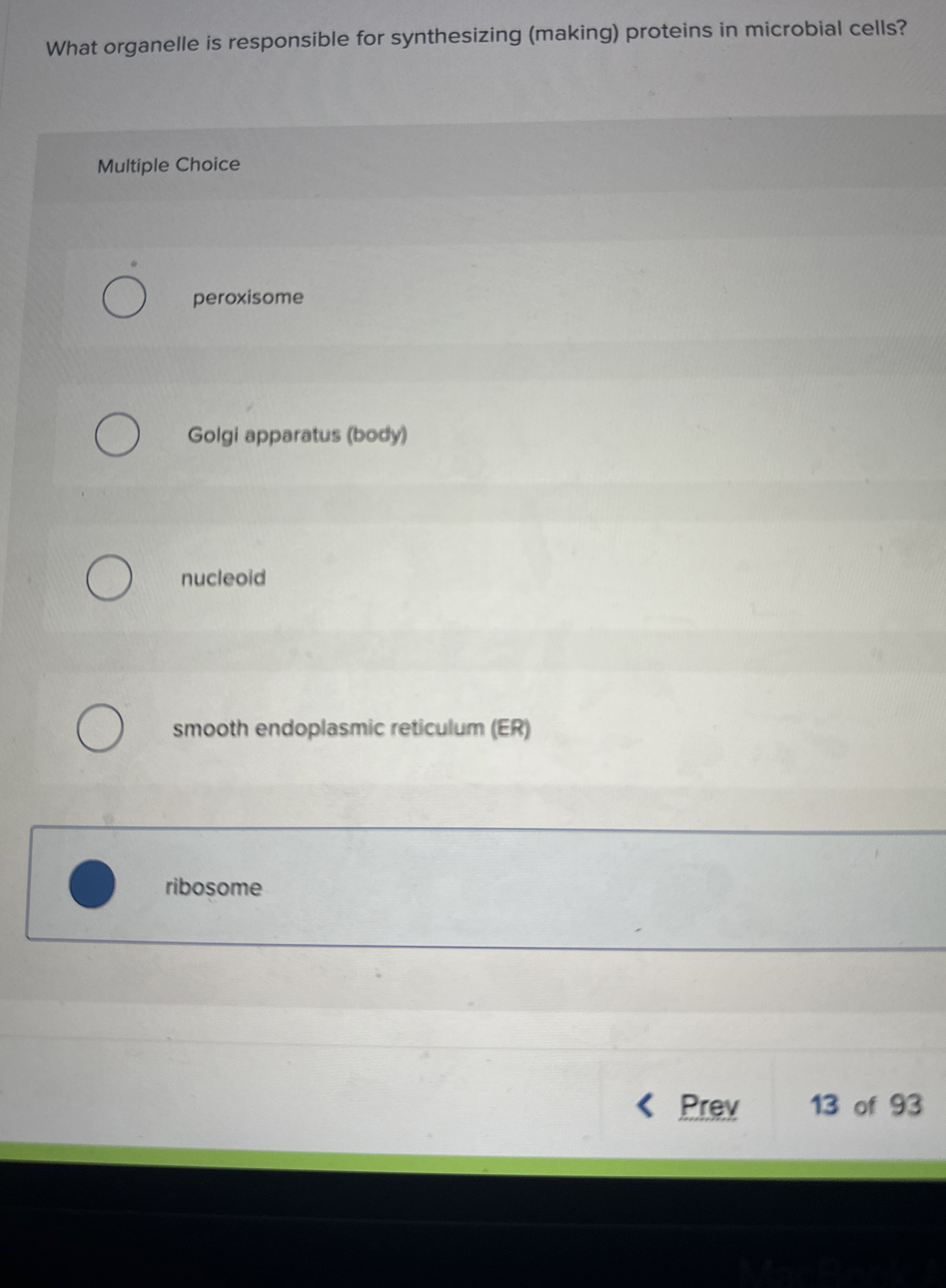 Solved What organelle is responsible for synthesizing | Chegg.com