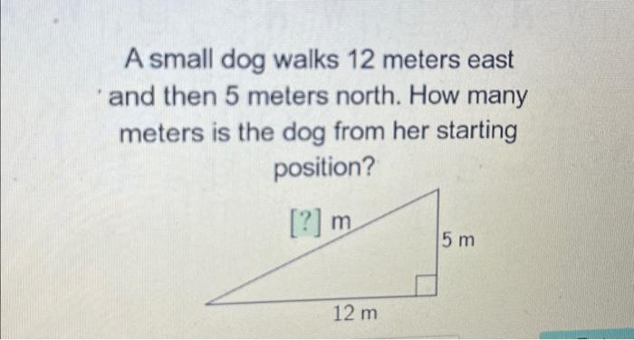 Solved A small dog walks 12 meters east and then 5 meters | Chegg.com