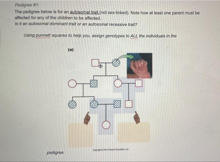 Pedigree \#1: The pedigree below is for an autosomal | Chegg.com