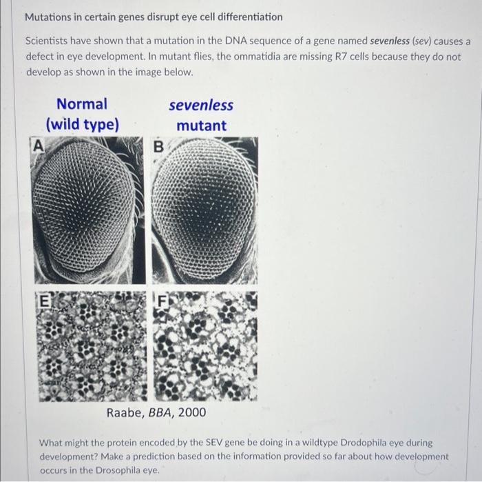 Solved Mutations in certain genes disrupt eye cell | Chegg.com