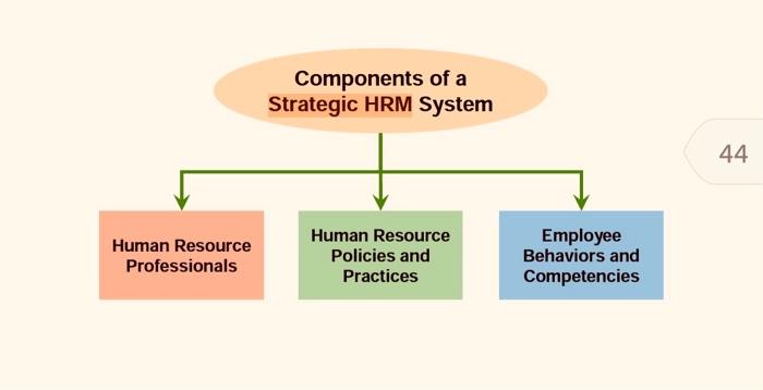 Solved Components of a Strategic HRM System 44 Human | Chegg.com
