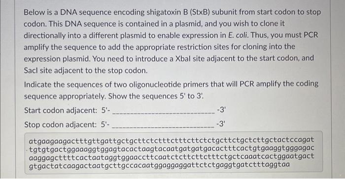 Solved Below is a DNA sequence encoding shigatoxin B (StxB) | Chegg.com
