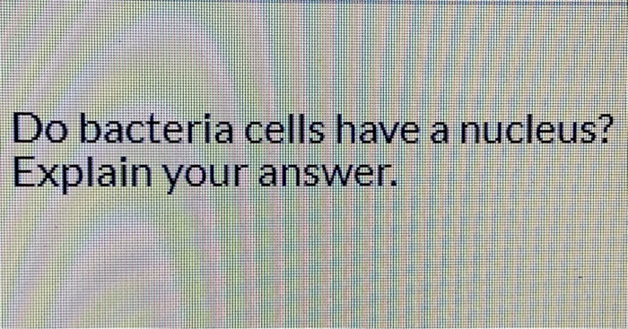 Solved Do bacteria cells have a nucleus? Explain your | Chegg.com