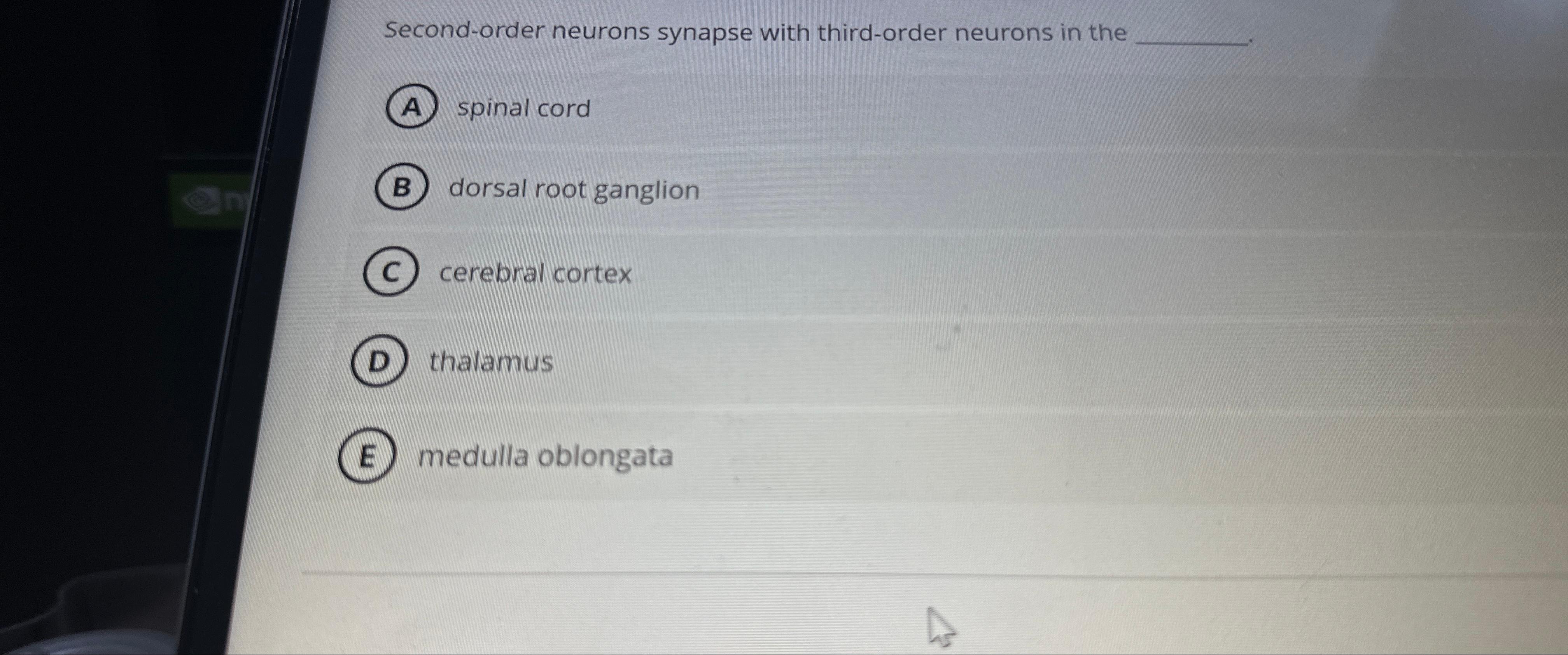 Solved Second-order neurons synapse with third-order neurons | Chegg.com