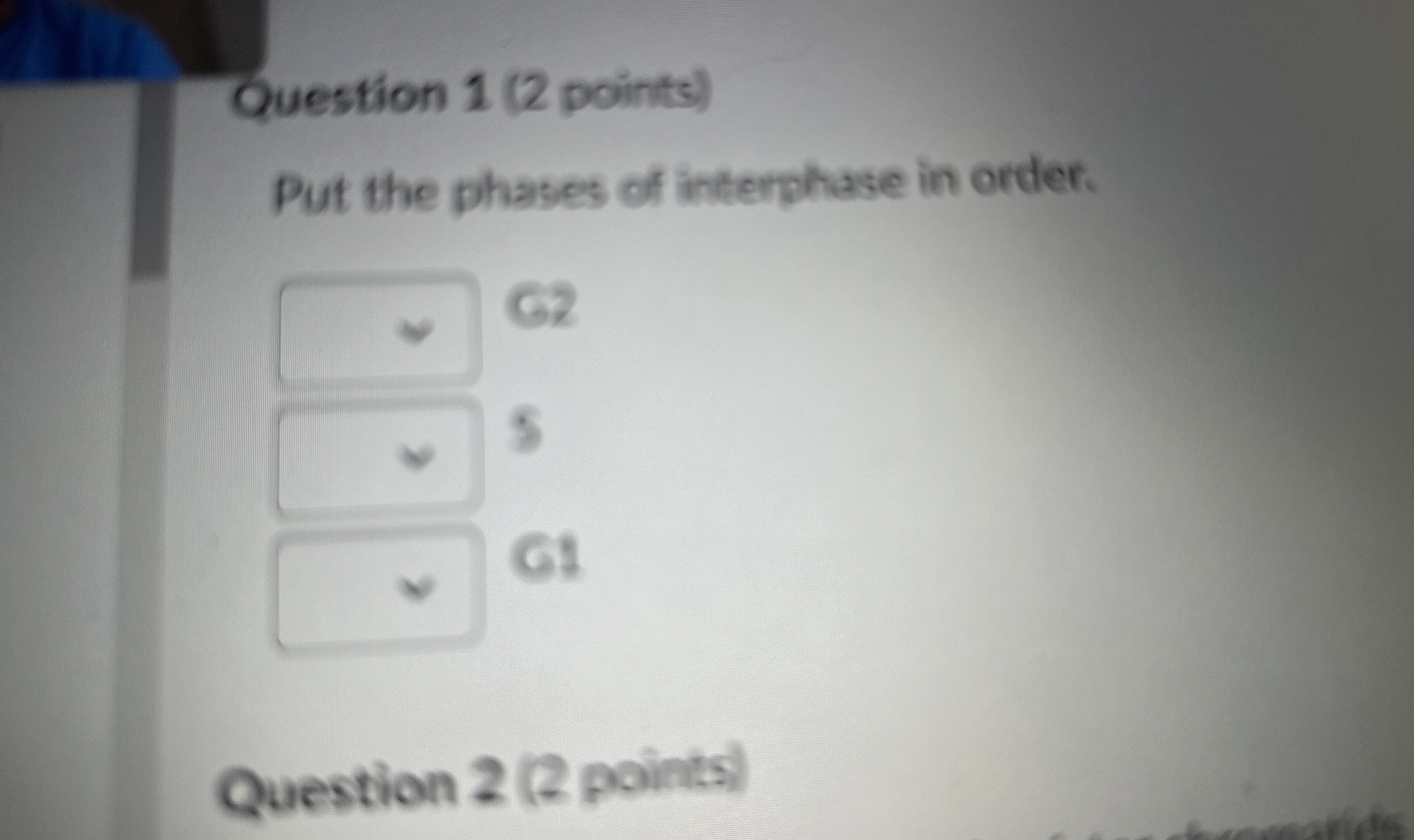 Solved Question 1 (2 ﻿points)Put the phases of interphase in | Chegg.com