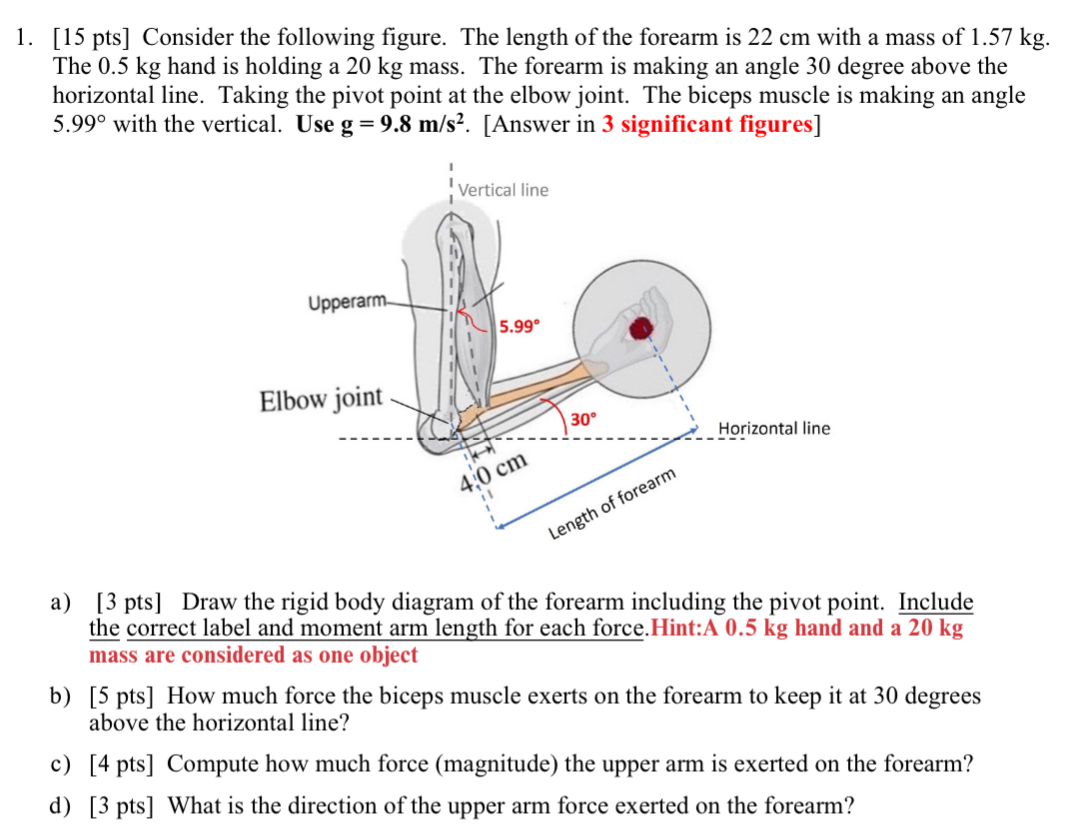 Solved [15 ﻿pts] ﻿Consider the following figure. The length | Chegg.com