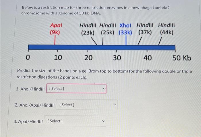 Solved Below is a restriction map for three restriction | Chegg.com