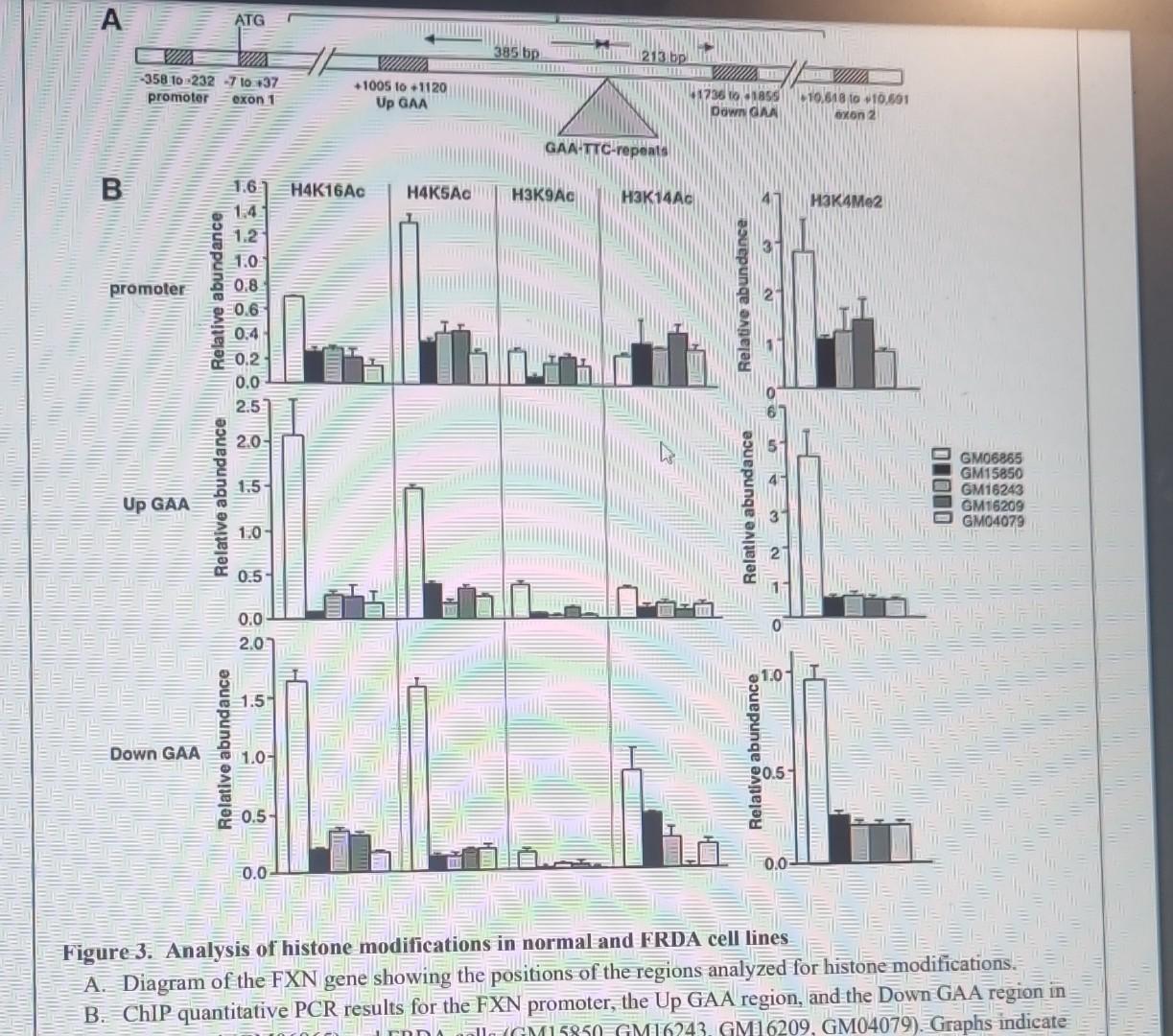Solved \r\n\r\nFigure 3. Analysis of histone modifications | Chegg.com
