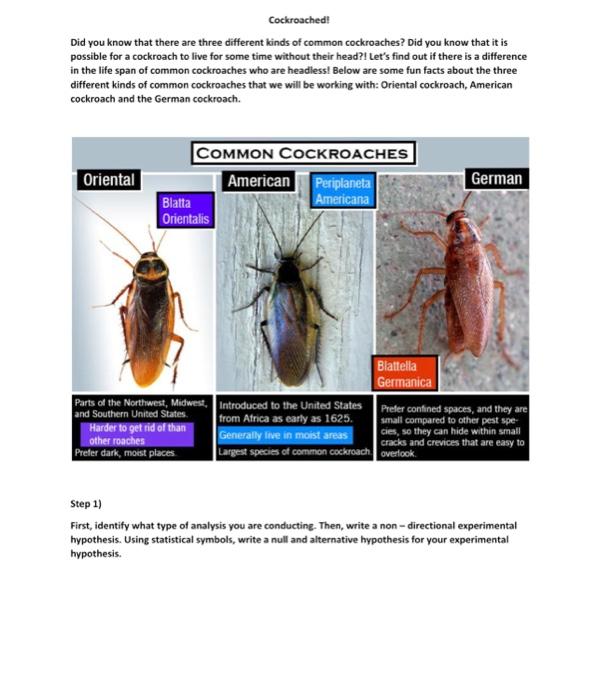 Solved Cockroached! Did you know that there are three | Chegg.com
