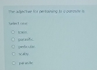 Solved The adjective for pertaining to a pordsite isSelect | Chegg.com