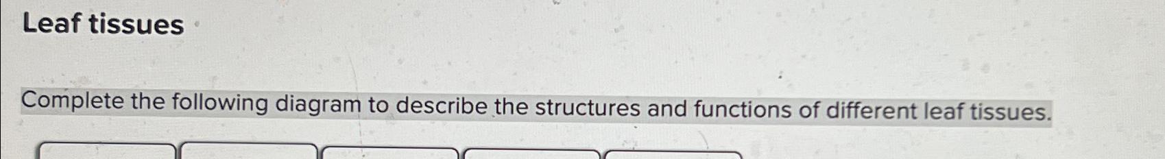 Solved Leaf tissuesComplete the following diagram to | Chegg.com