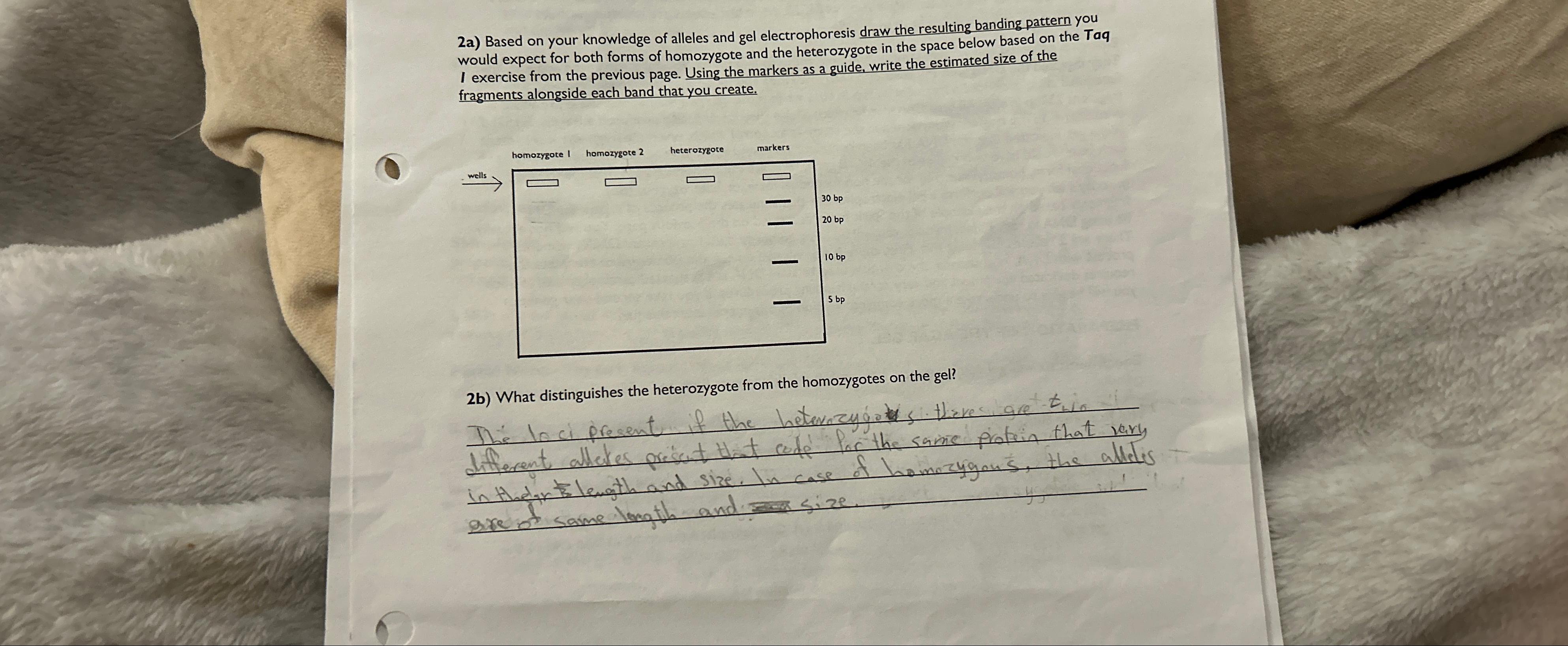 Solved Can someone help with this? The answer in 2b is | Chegg.com