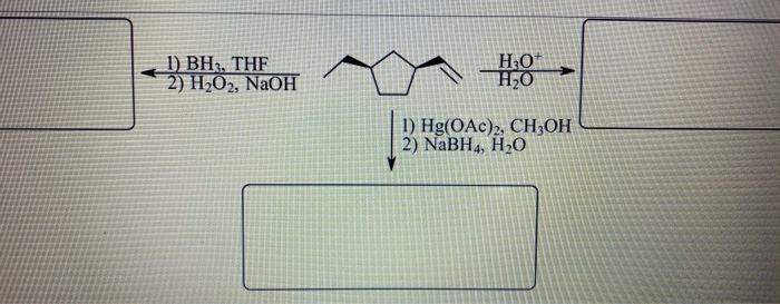 Solved 1) BH3, THF 2) H2O2, NaOH H307 H20 1) Hg(OAc)2, CH3OH | Chegg.com
