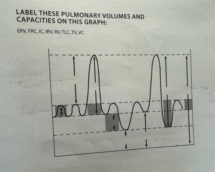 Solved LABEL THESE PULMONARY VOLUMES AND CAPACITIES ON THIS | Chegg.com