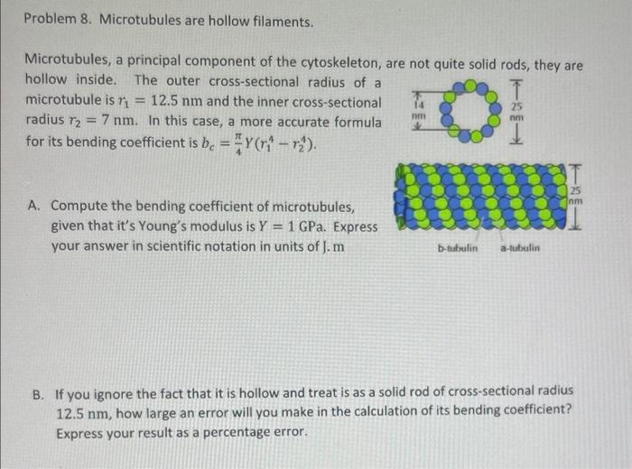 Solved Microtubules, a principal component of the | Chegg.com