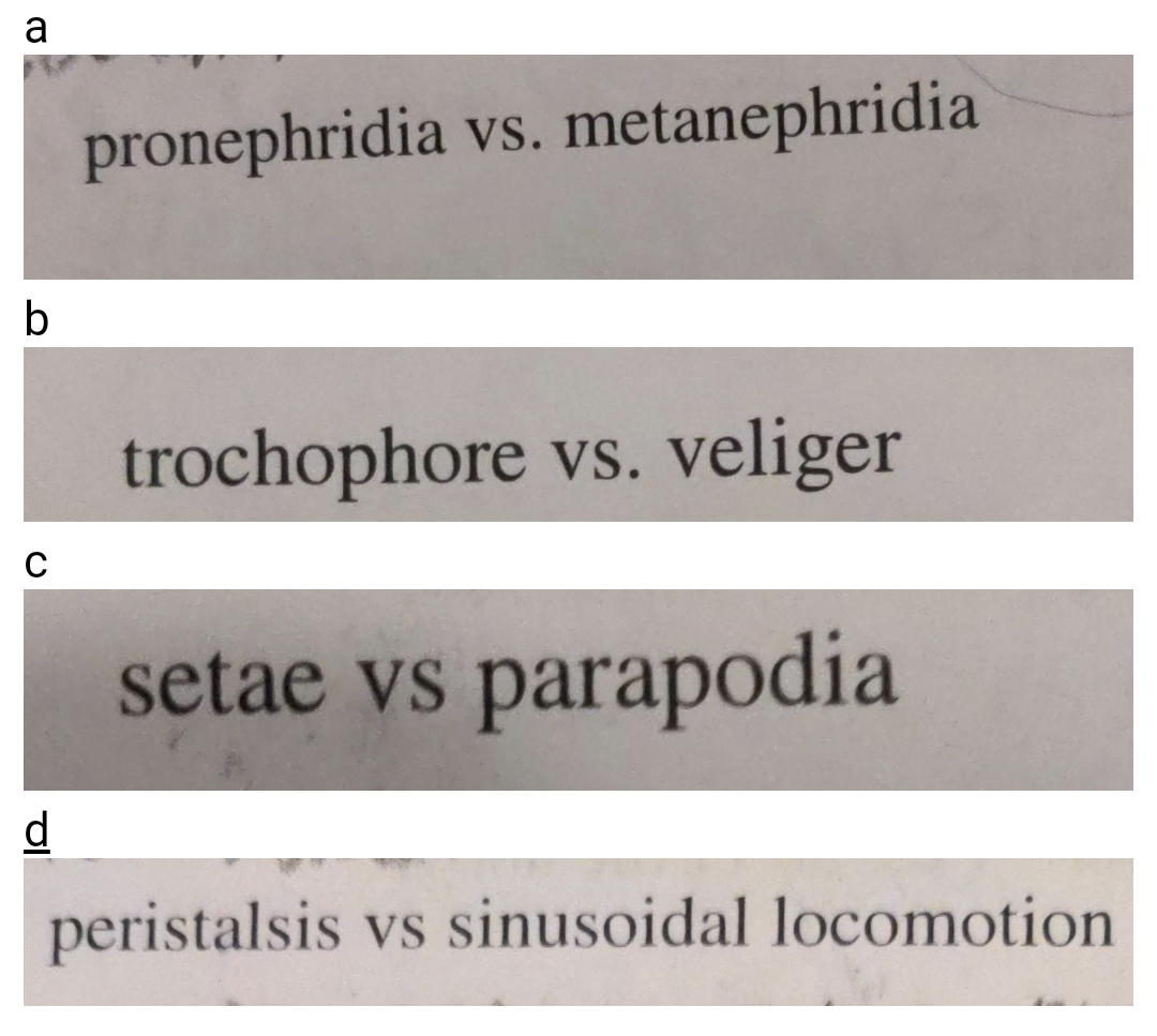 Solved a pronephridia VS. metanephridia b trochophore vs. | Chegg.com