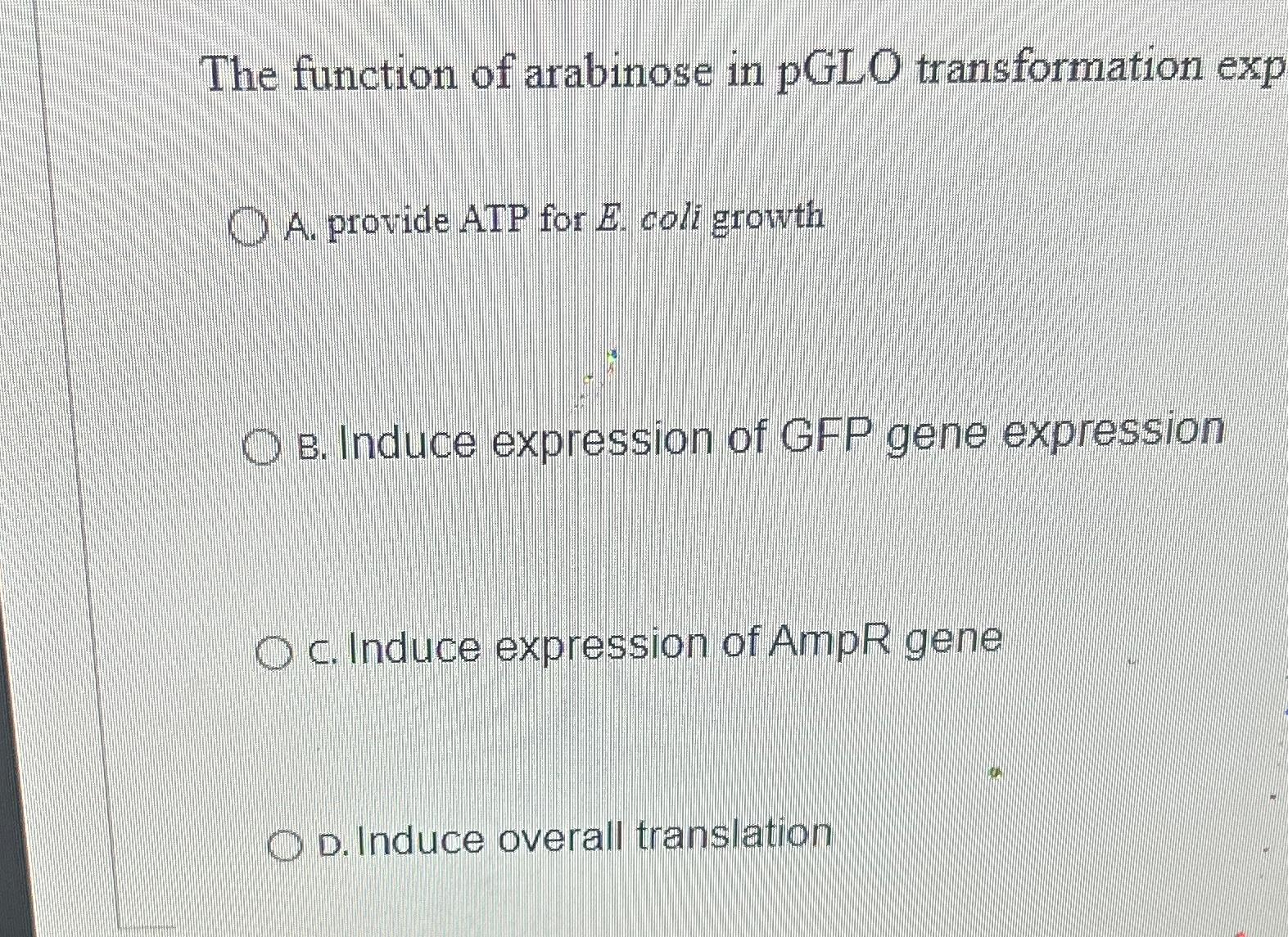 Solved The function of arabinose in pGLO transformation | Chegg.com